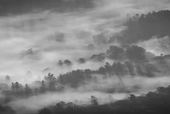 단백질 보충제 WPI vs WPC 비교 및 섭취법- 쿤밤레이즈